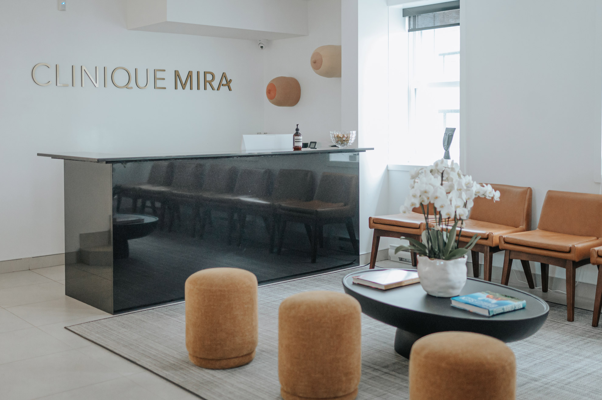 Clinique Mira - Clinique Mira